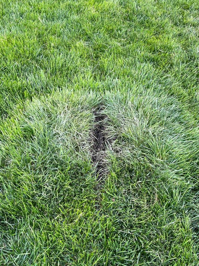 Exhibitions – David Jacobson Artist